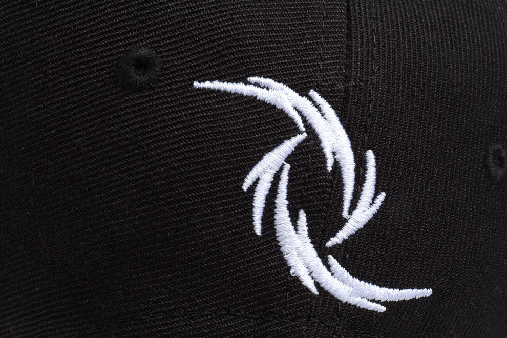 Logo Snapback Hat (Black) – Halestorm Store